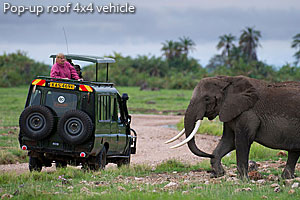 Tanzania Safari: 1-Day Arusha National Park Game Drive & Canoeing